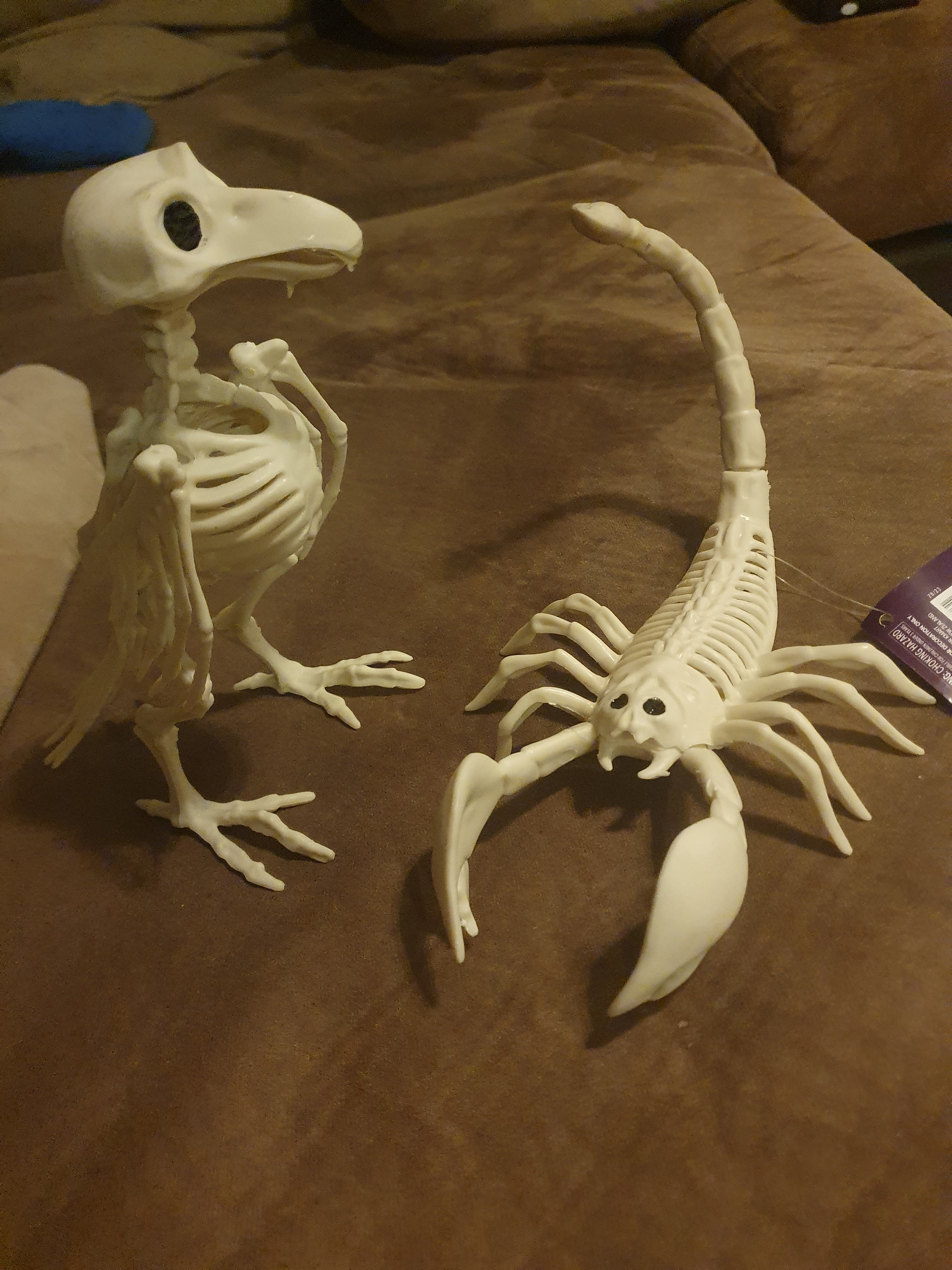 Fox's FOURTH den where I'm too dumb to think of more synonyms for 'dumb ...